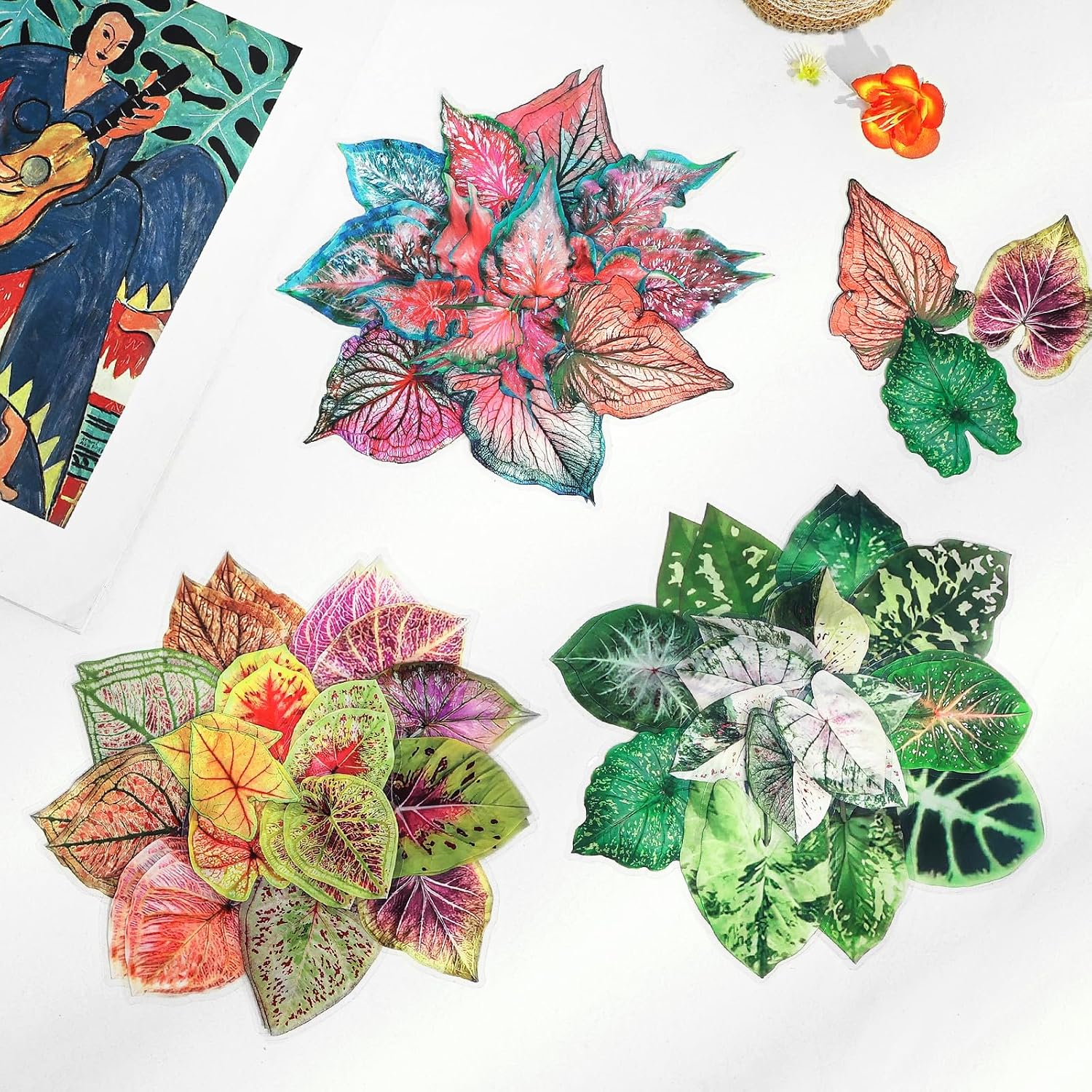 Amazon.com: NogaMoga Nature Leaf Themed Stickers Set - 90 Pcs Dried ...