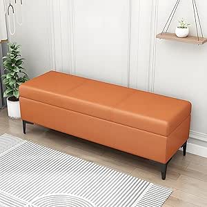 Aufbewahrungsbank, Ottomane, Aufbewahrungssitz für Schlafzimmer und Wohnzimmer, gepolsterte Bank ...