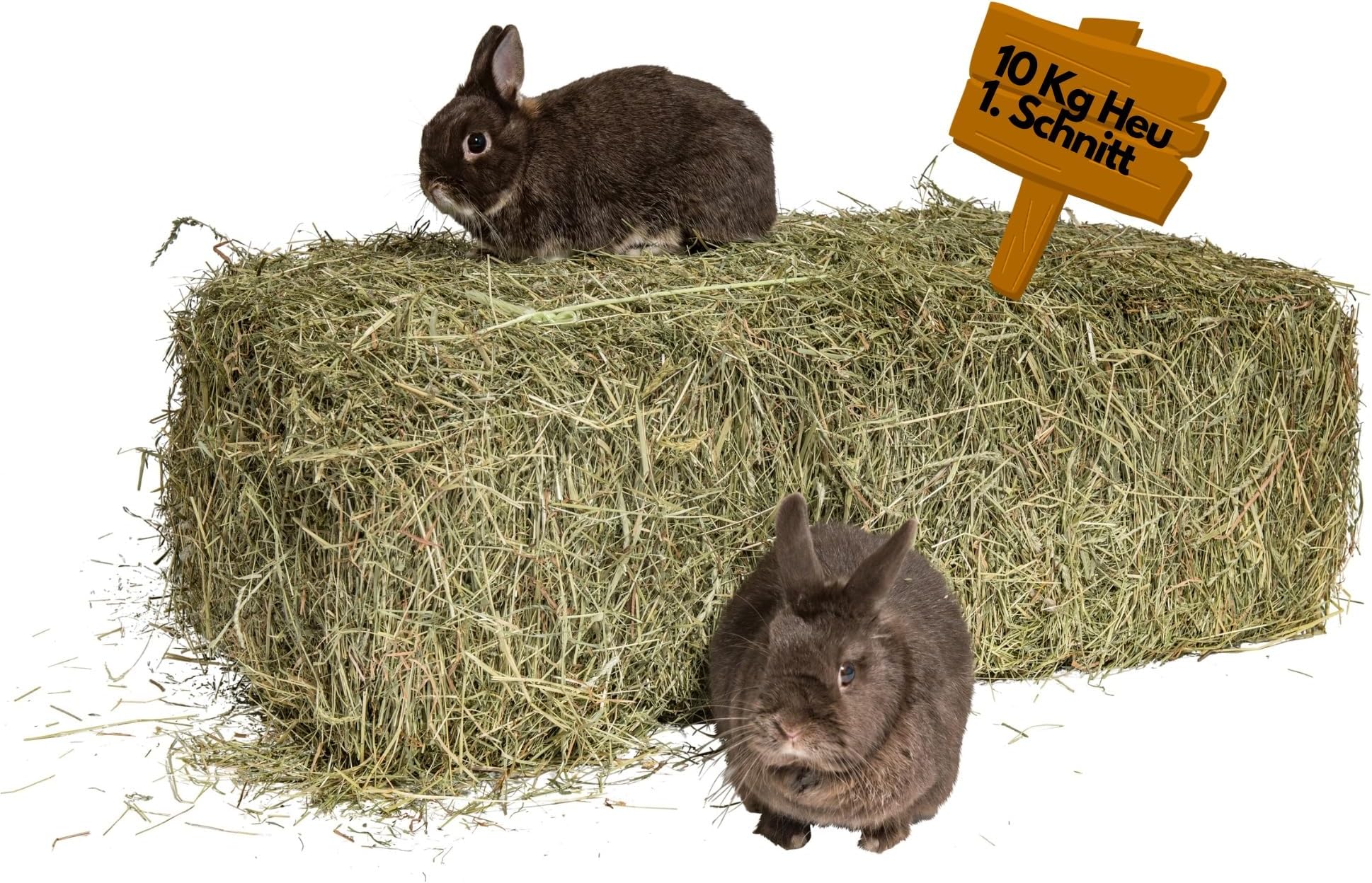 Heu-Tom ® 15kg frisches Wiesenheu Heuballen direkt ab Hof Futter Fuer ...