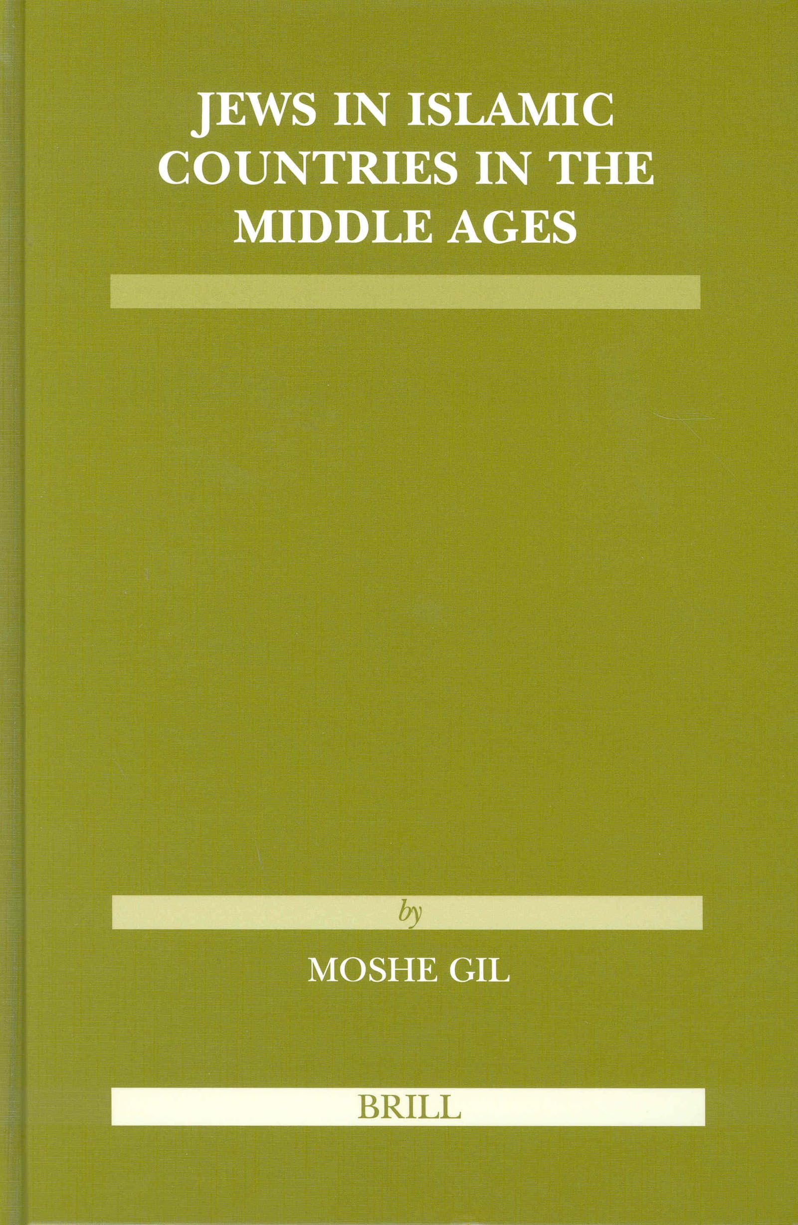 Jews in Islamic Countries in the Middle Ages (Etudes Sur Le Judaisme ...