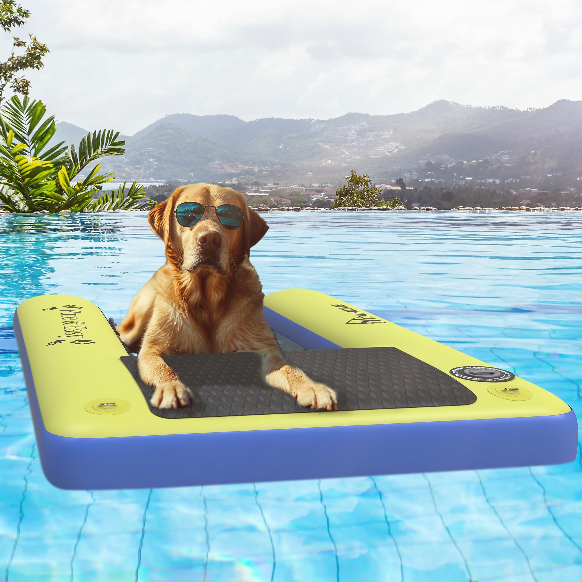 Snapklik.com : Dog Water Ramp Inflatable Dog Floating Ladder For Pools ...