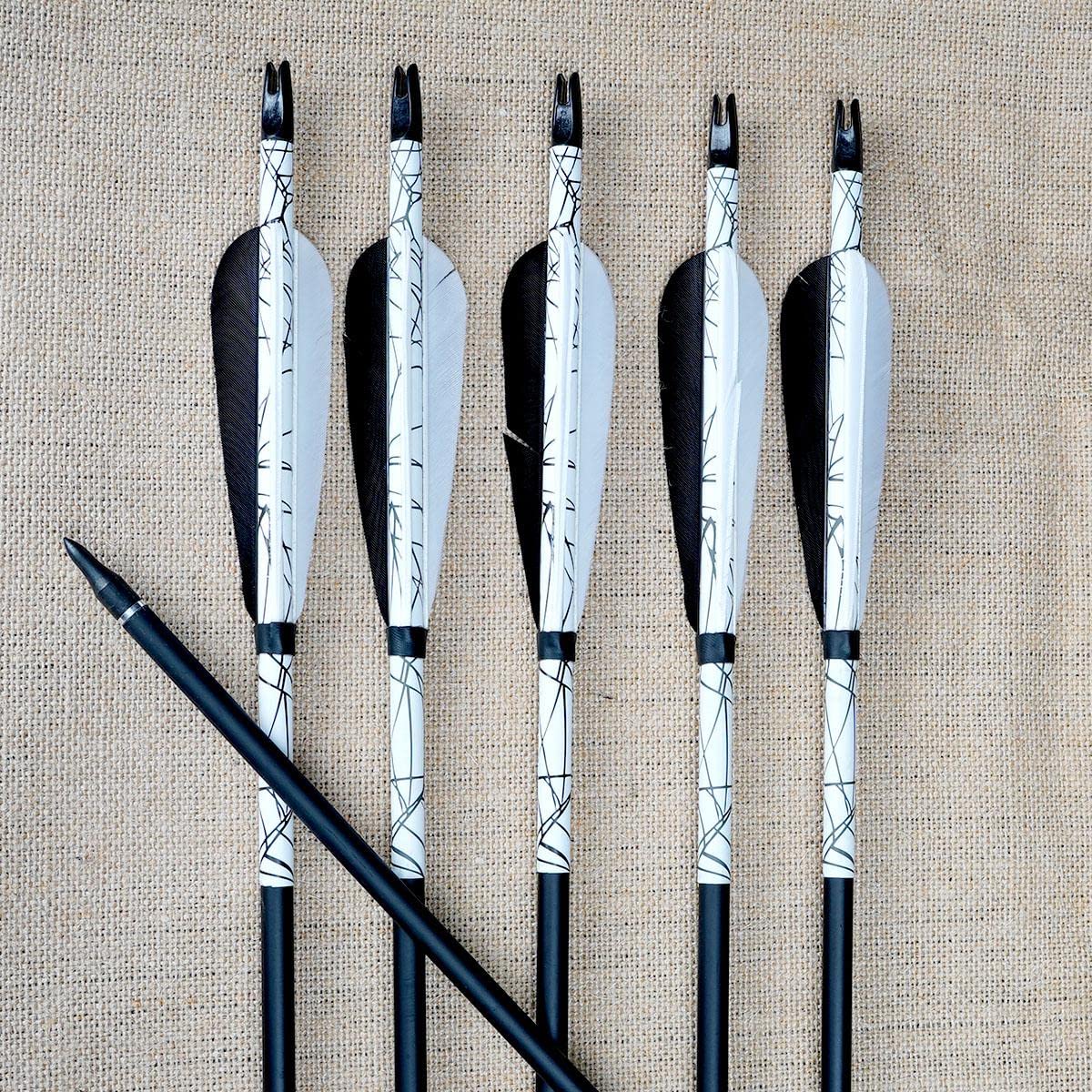 PMZ Archery 60" Coral Snake B...B0BFQLZ57D | Encarguelo.com