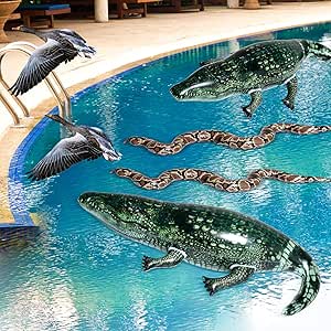 Amazon.com: Shappy 4 Pcs Duck Deterrent for Pool 47 in Inflatable ...