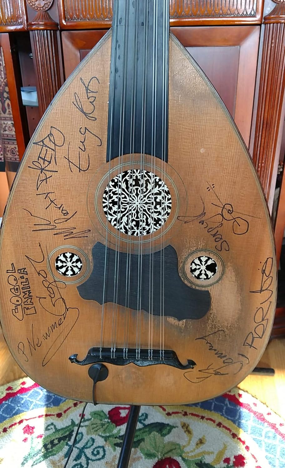 Amazon.com: Northern Lutherie Lute Pickup : Musical Instruments