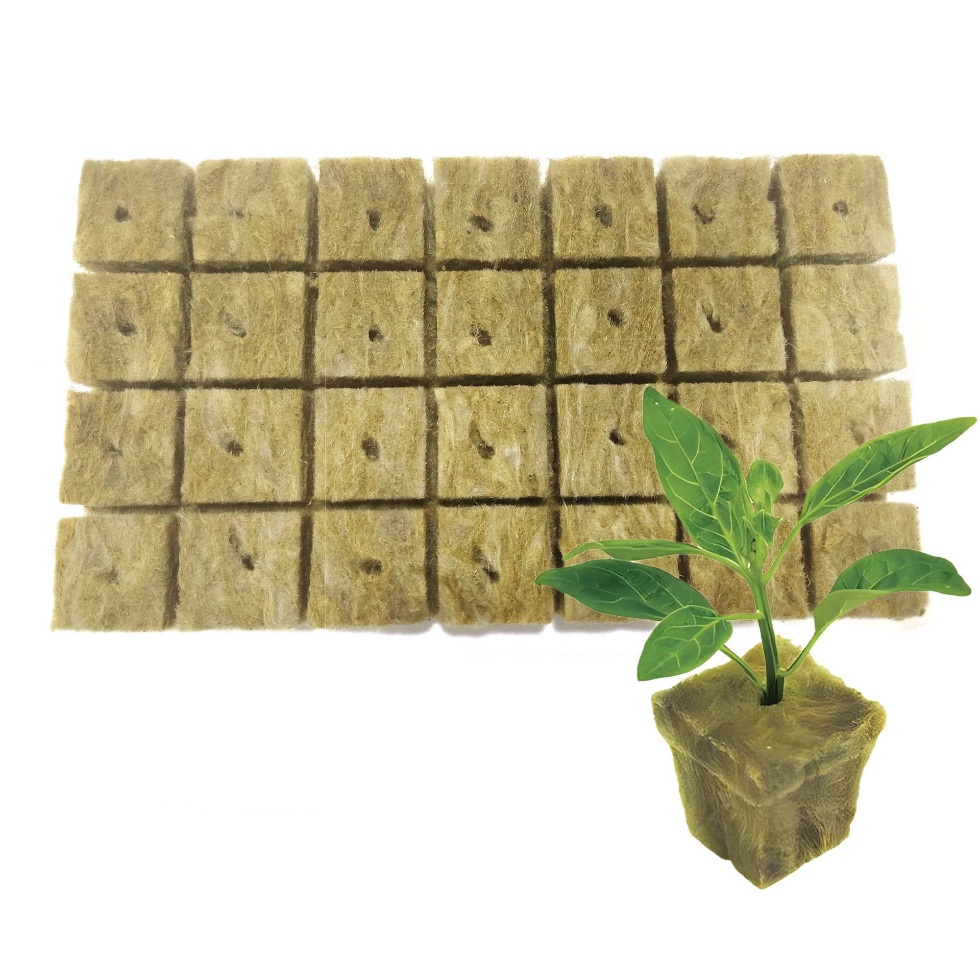 Amazon.com : WANGSHIQI Rockwool Cubes,28Pack Rock Wool Planting Cubes ...