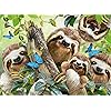 Amazon.com: Madd Capp Puzzles Jr. - I AM Lil’ Sloth - 100 Pieces ...