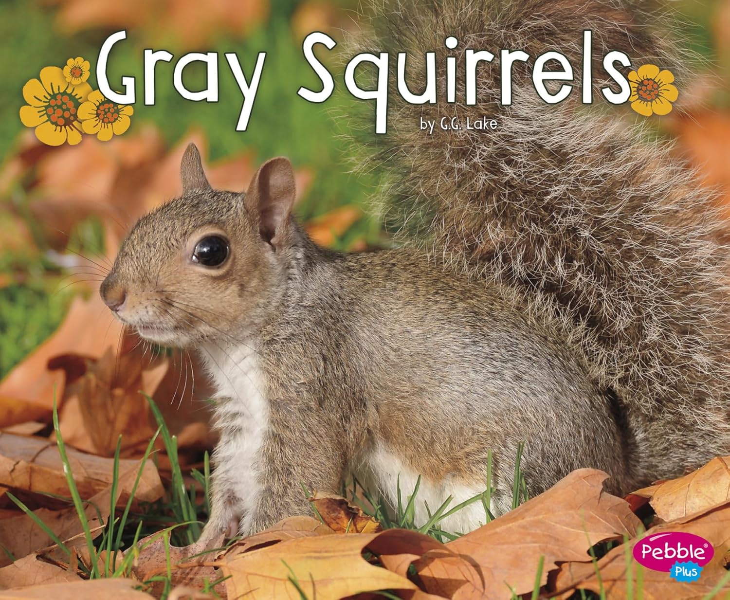 Gray Squirrels (Woodland Wildlife): Lake, G.G.: 9781515708254: Amazon ...