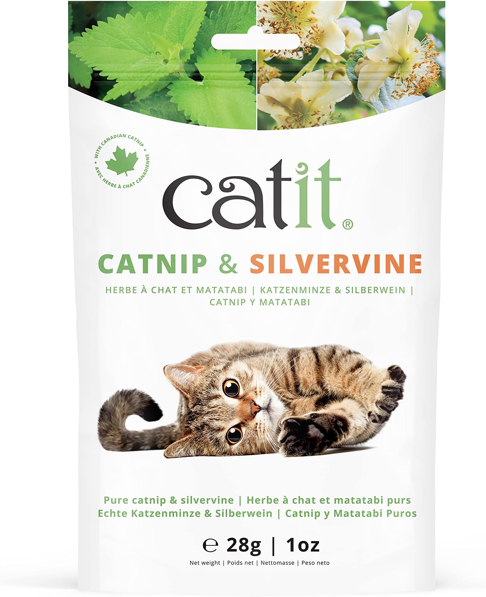 Amazon.com : Catit Catnip Spray for Stimulating Indoor and Outdoor Cats ...