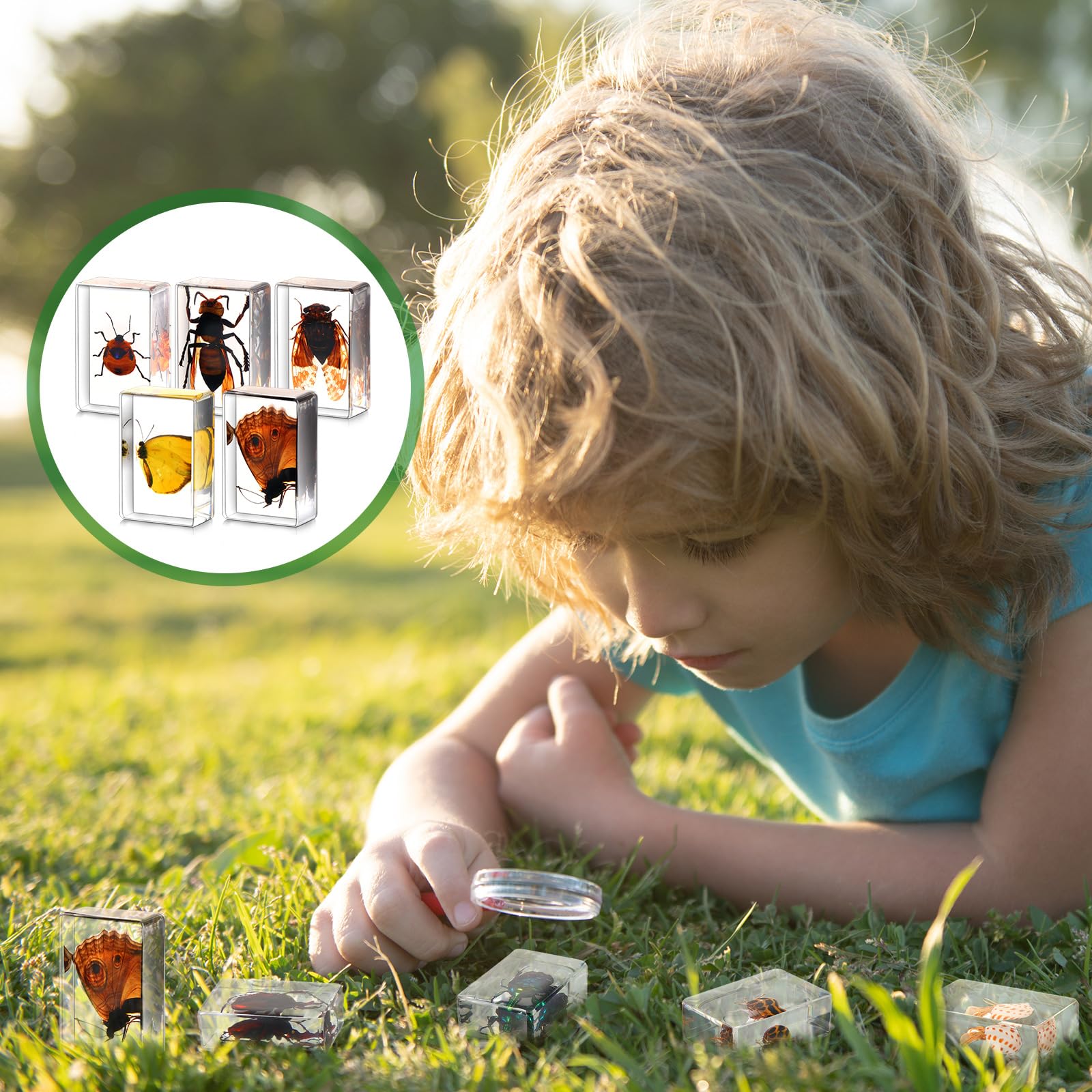 Snapklik.com : Weysat 50 Pcs Insect In Resin Bulk Specimen Bugs ...