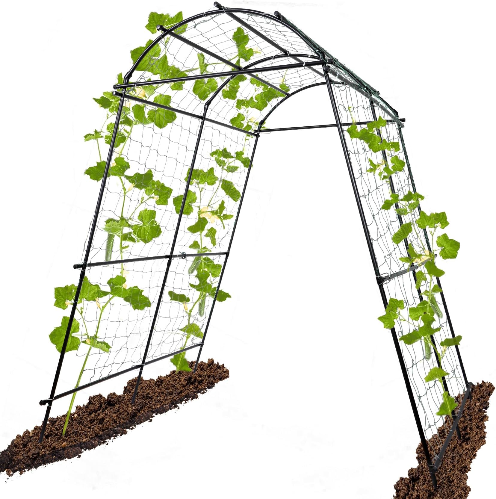 Amazon.com : Agfabric Garden Trellis for Climbing Plants Outdoor,5ft*1 ...