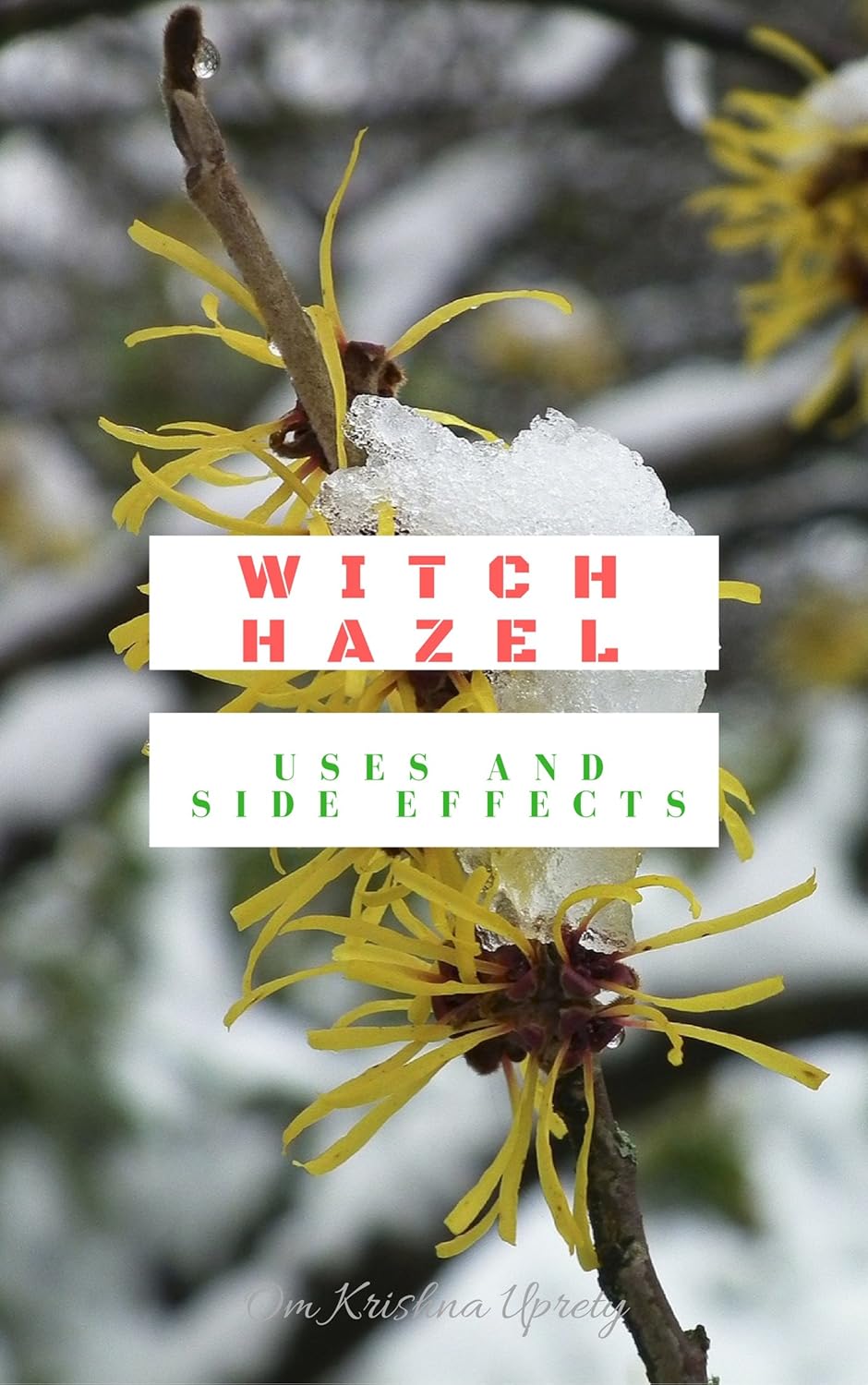 Witch Hazel: Uses and Side Effects - Kindle edition by Uprety, Om ...