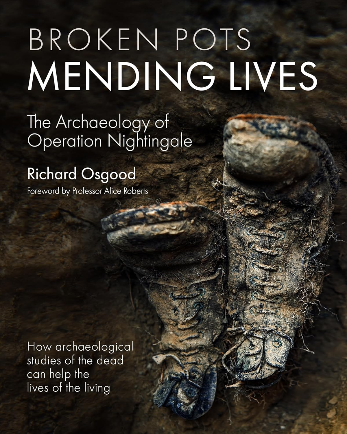 Amazon.com: Broken Pots, Mending Lives: The Archaeology of Operation ...