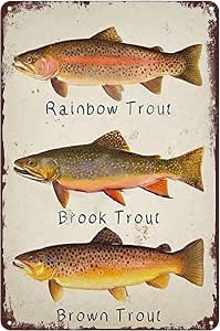 Amazon.com: Tin Decor Vintage Rainbow Trout Brook Trout Brown Trout ...