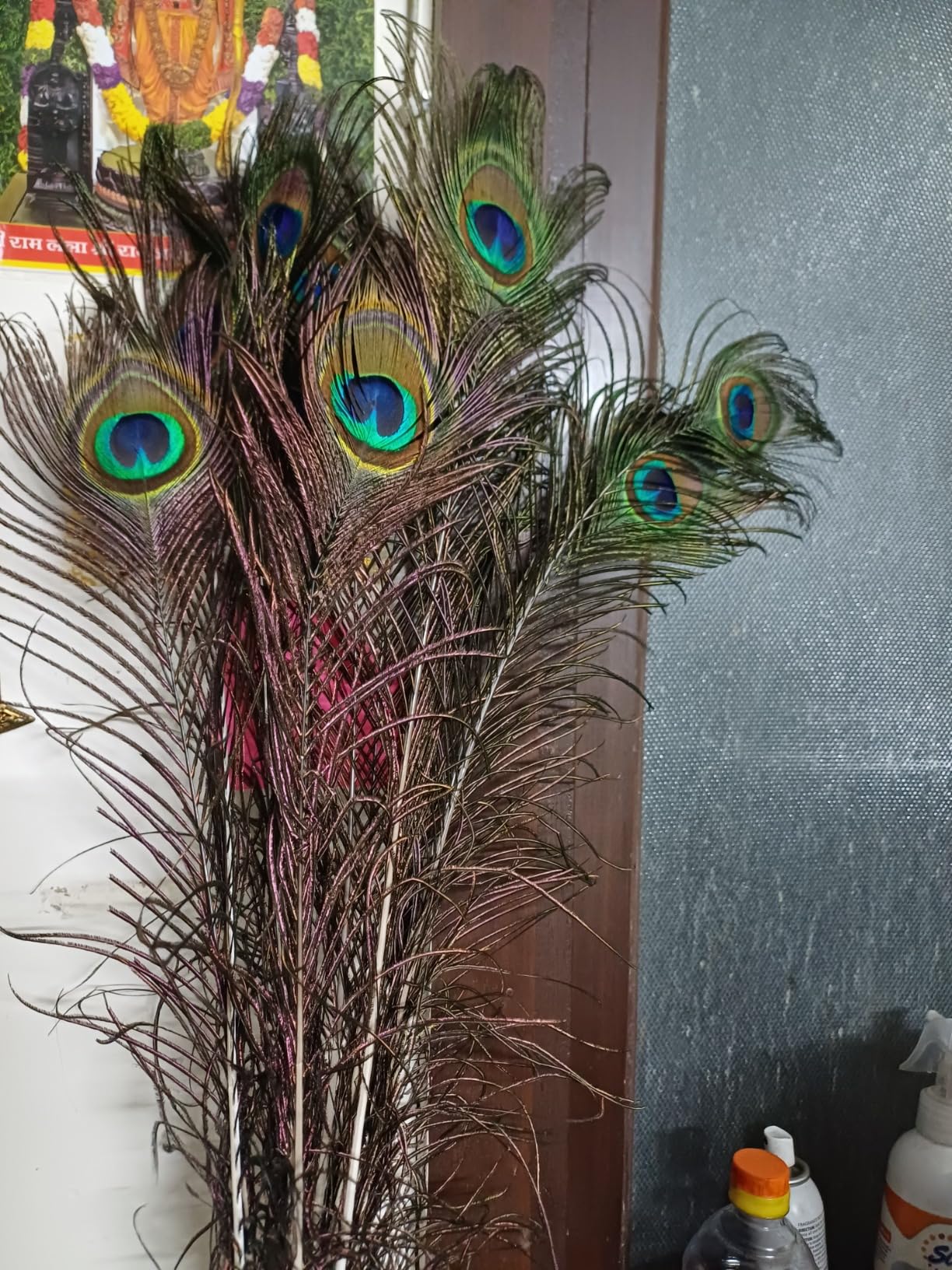 Prisart Peacock Feather More Pankh Feather Tails Original Full Length ...