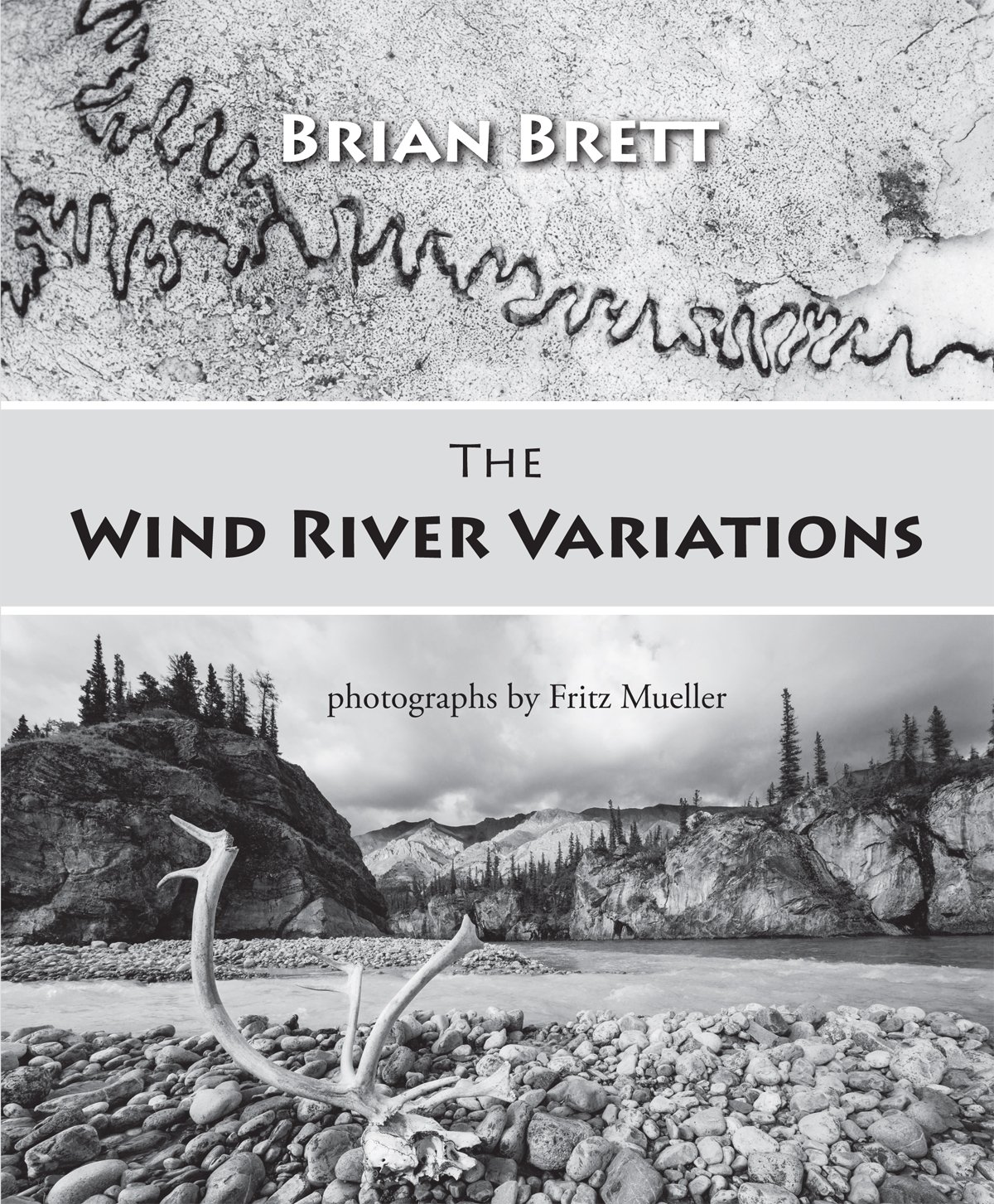 Amazon.com: The Wind River Variations: 9780889822696: Brett, Brian ...