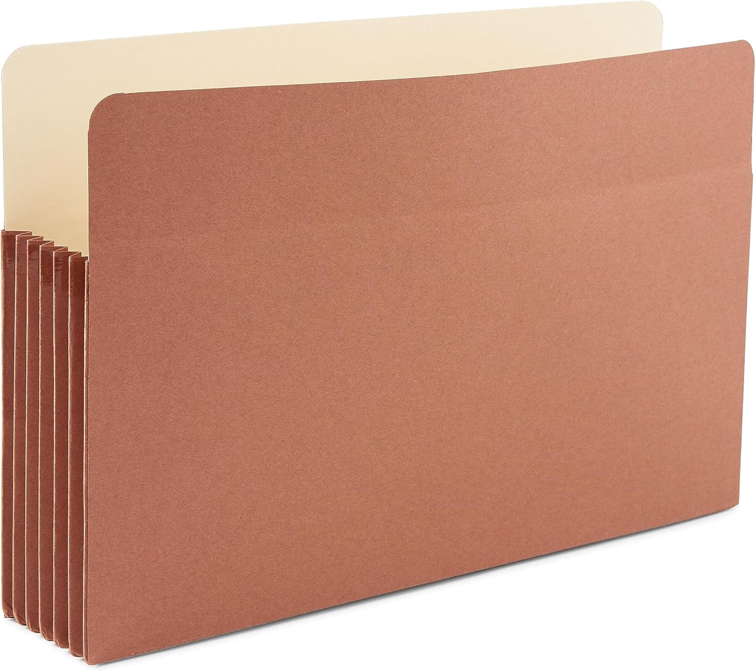 Amazon.com : Staples Recycled Reinforced File Pocket, 5 1/4-inch ...