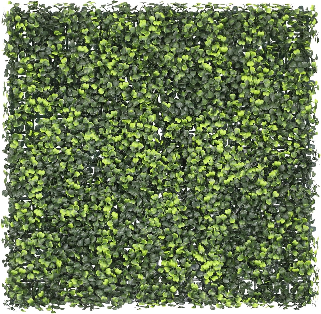 Amazon.com: ECOOPTS 20" x 20" Artificial Boxwood Leaf Fence Greenery ...