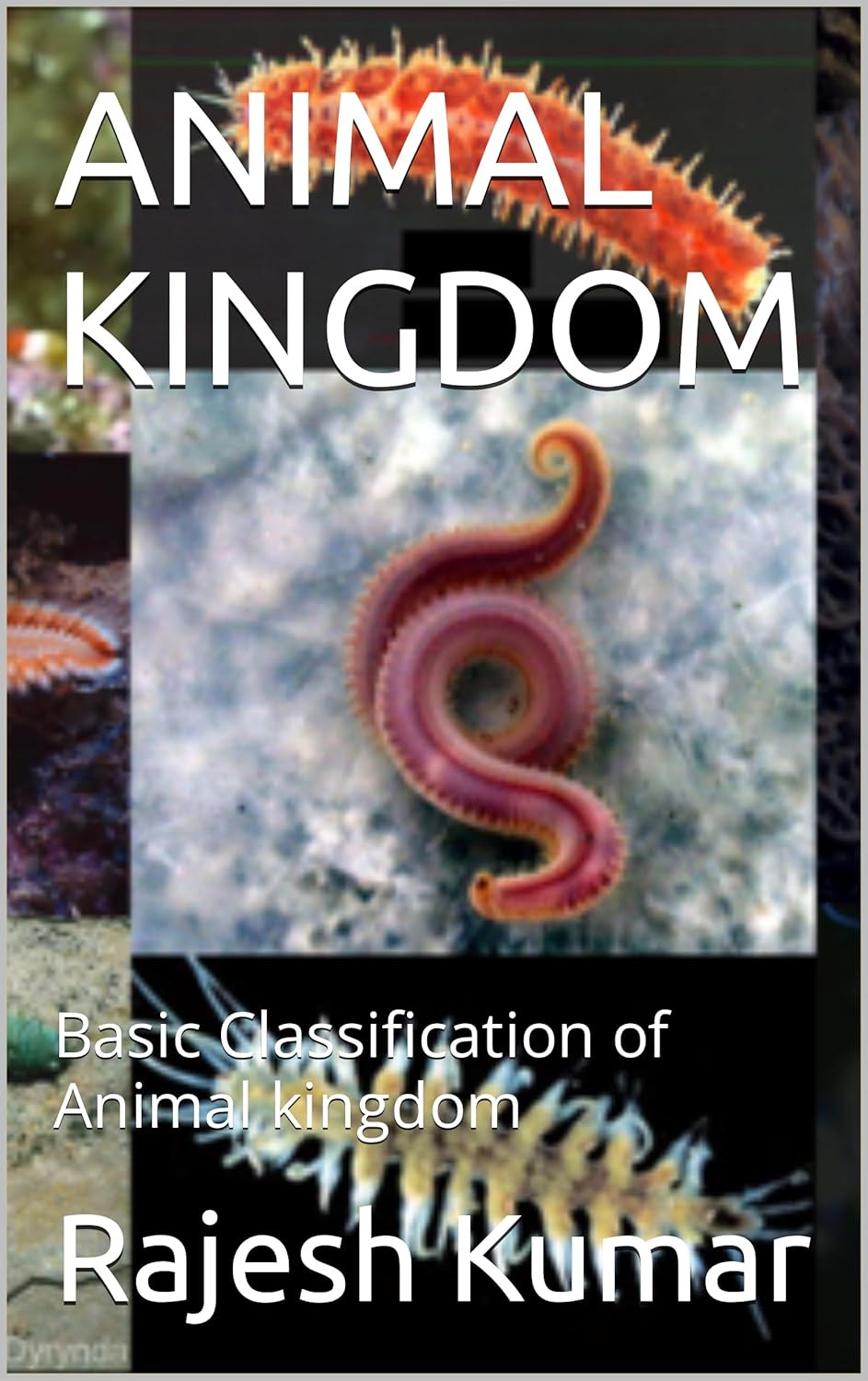 Amazon.com: ANIMAL KINGDOM: Basic Classification of Animal kingdom ...