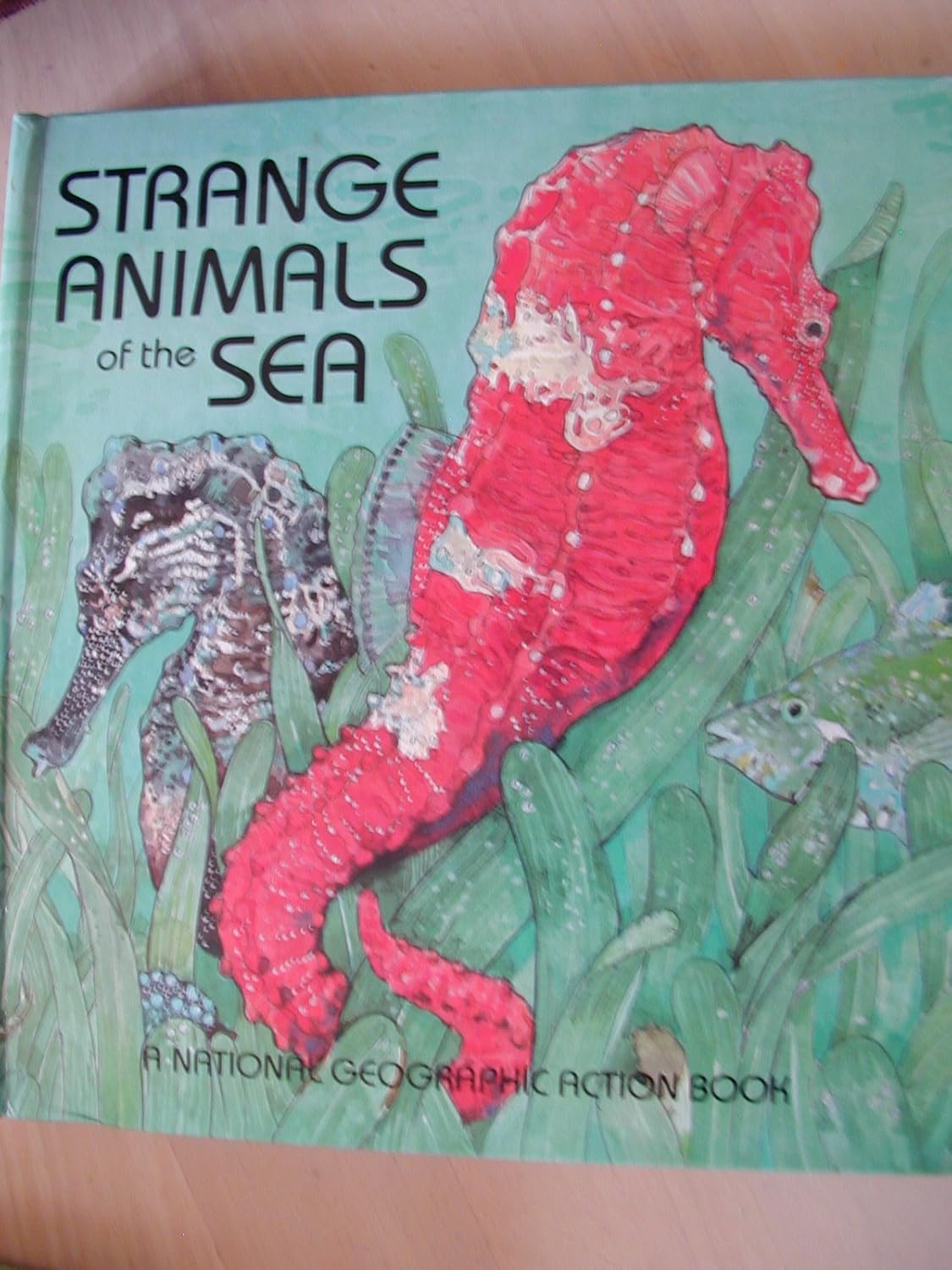 Strange Animals of the Sea (National Geographic Action Book): unknown ...