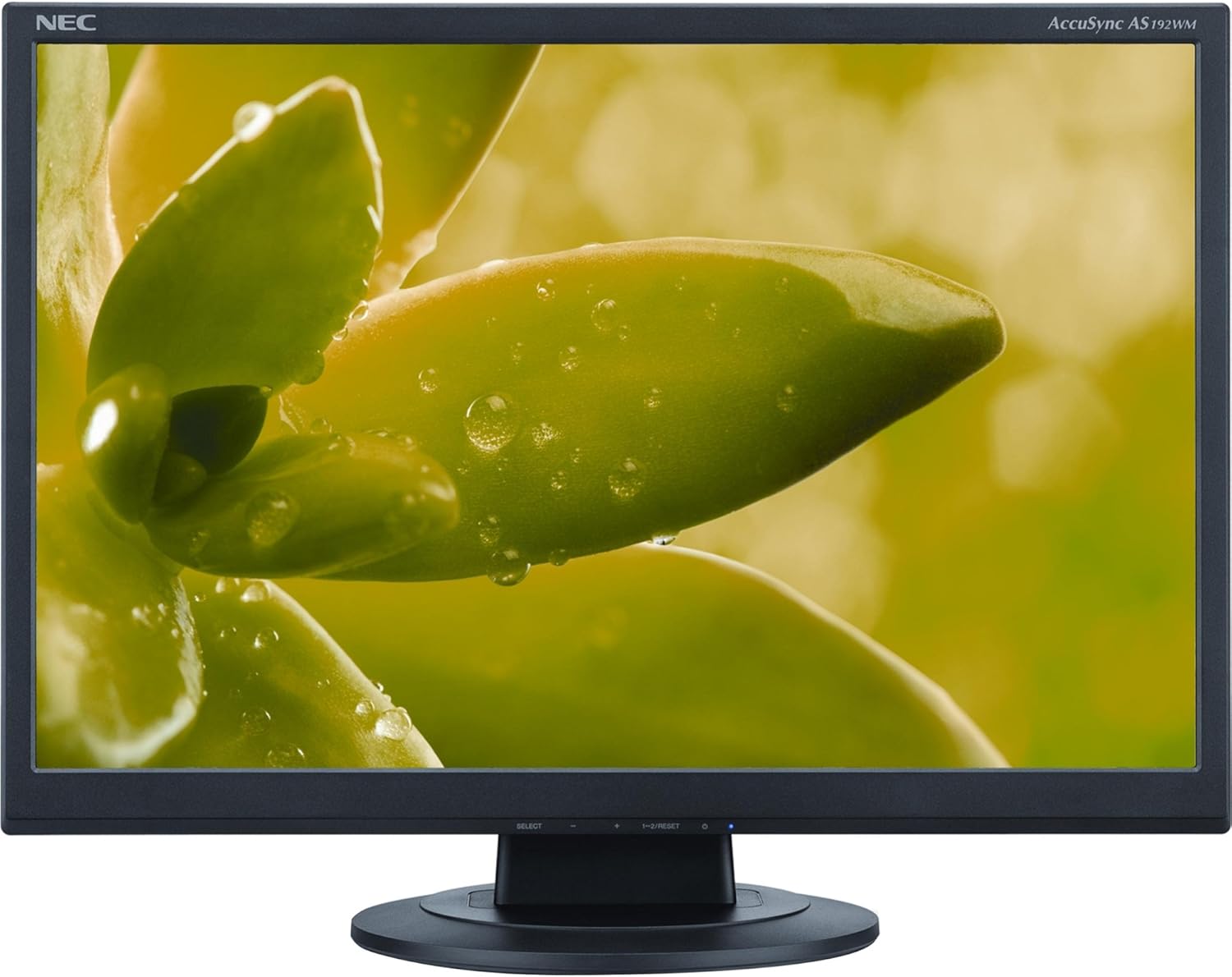 Amazon.com: NEC AccuSync AS192WM-BK 19-Inch Screen LCD Monitor ...
