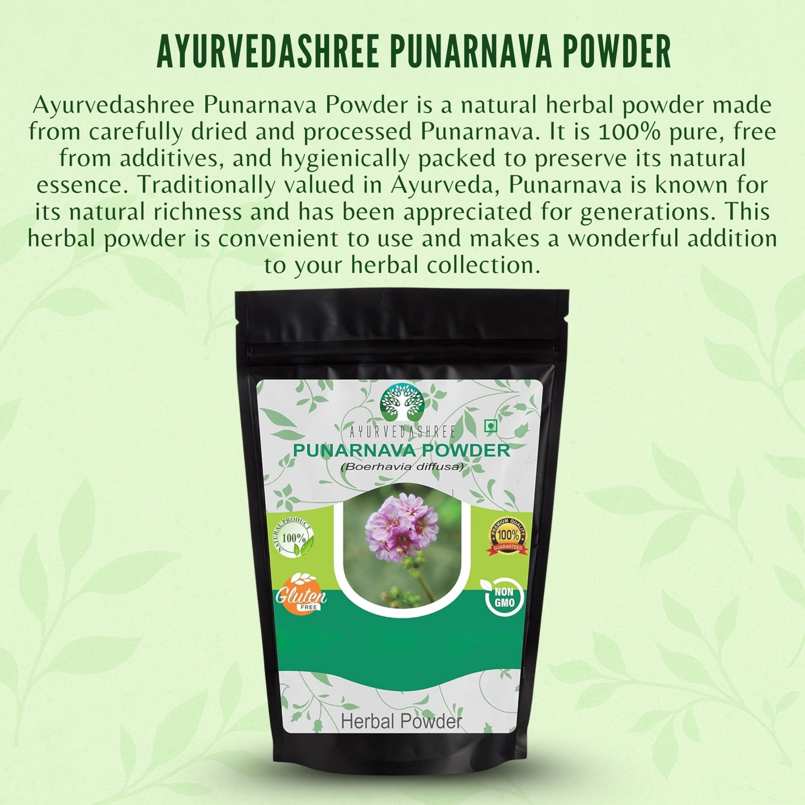 Snapklik.com : AYURVEDASHREE Punarnava Powder 100 Gm I Boerhavia ...