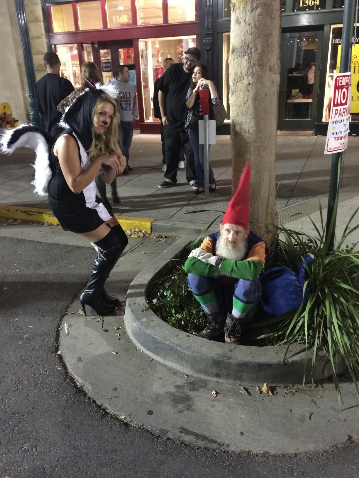 Amazon.com: Leg Avenue Women's Stinkin' Cute Skunk Costume, Black/White ...