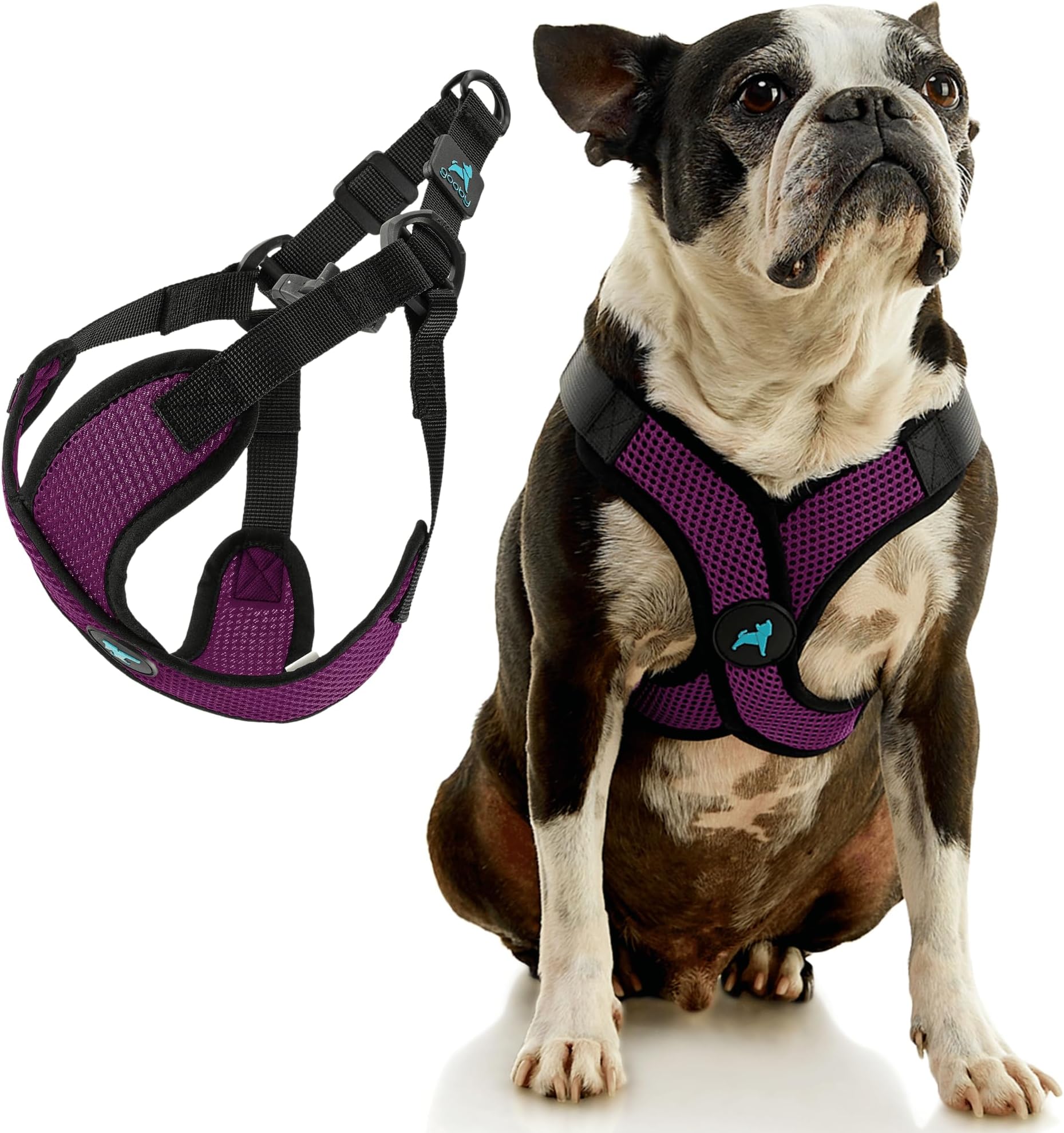 Amazon.com : Gooby Comfort X Step in Lite Dog Harness - Choke Free ...