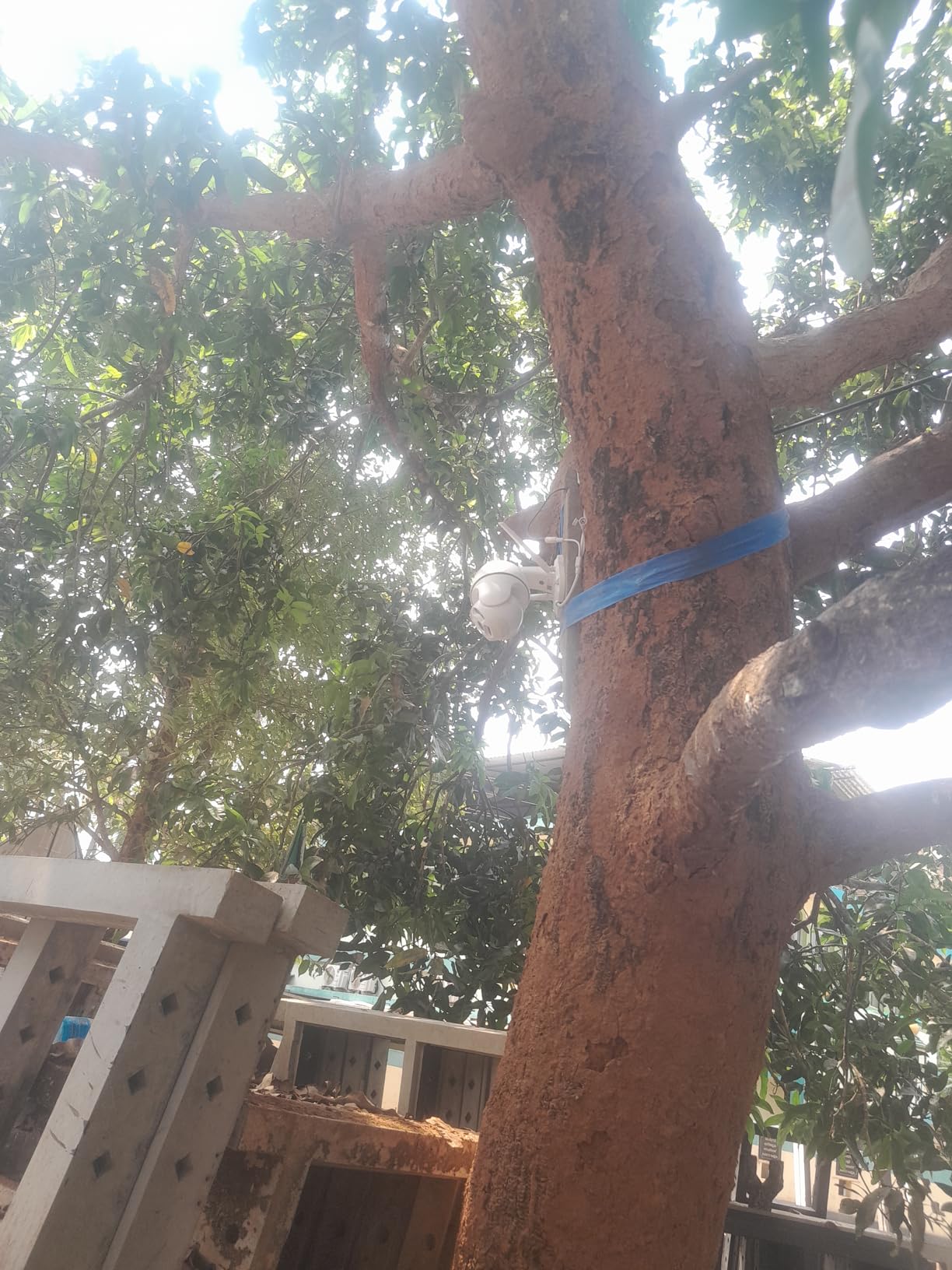 Buy Eyetech 360 V380 Pro Outdoor | Ip66 Waterproof | Colour Night ...