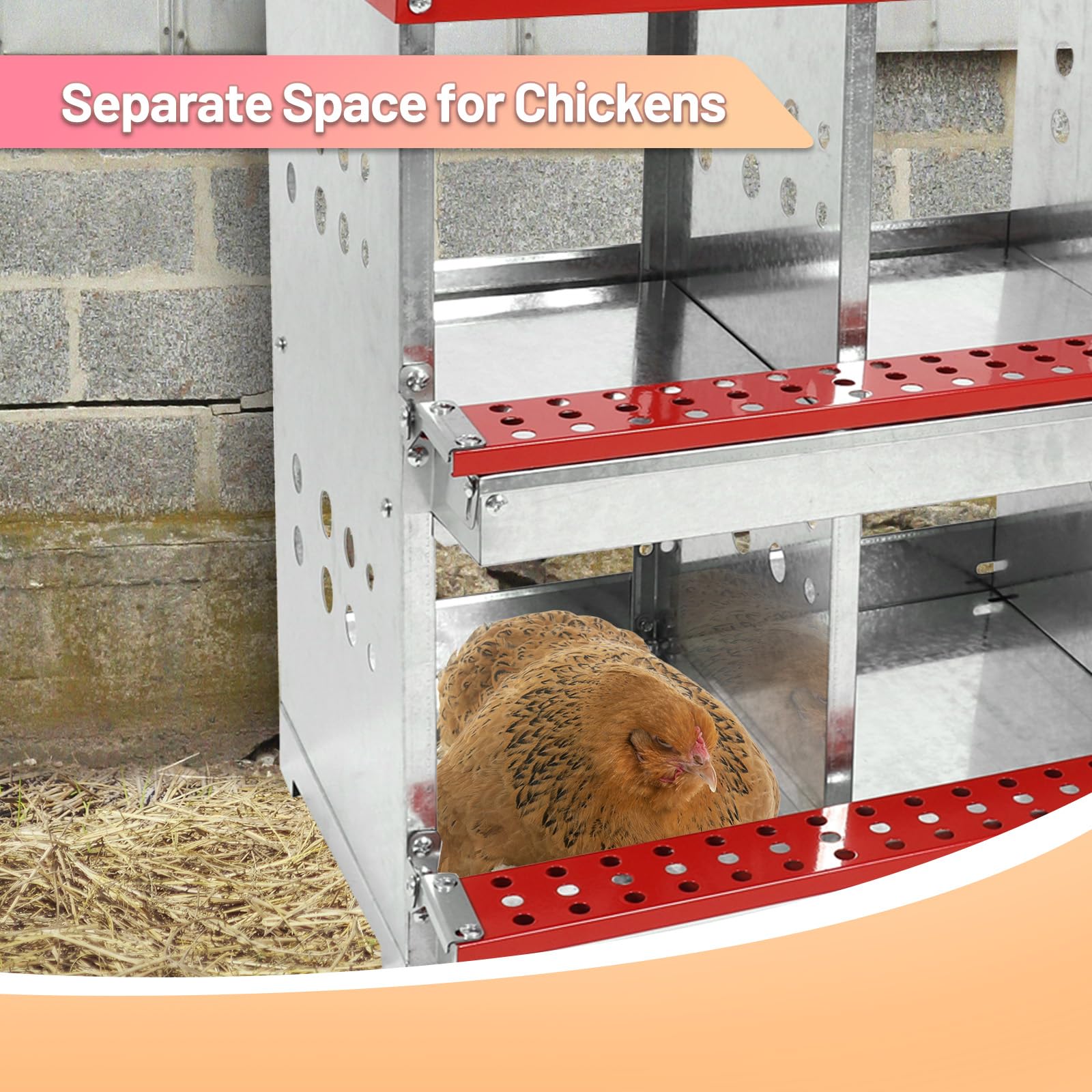 Snapklik.com : Confote Two-Tier Chicken Nesting Box,8 Compartment ...