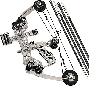 ZSHJGJR 10" Mini Compound Bow 12lbs, Mini Archery Bow and Arrow Set ...