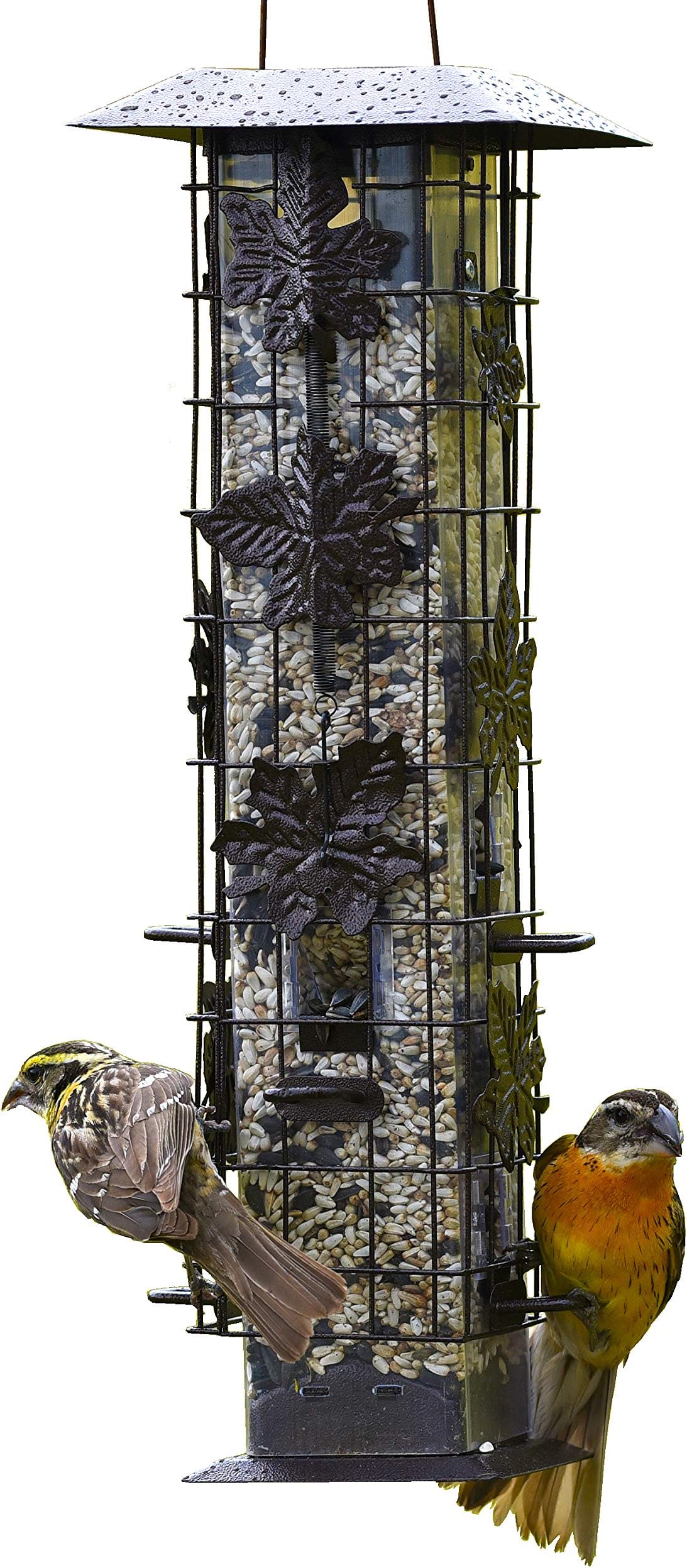 Amazon.com : Perky-Pet 336-1SR Squirrel-Be-Gone Bird Feeder, 2LB ...
