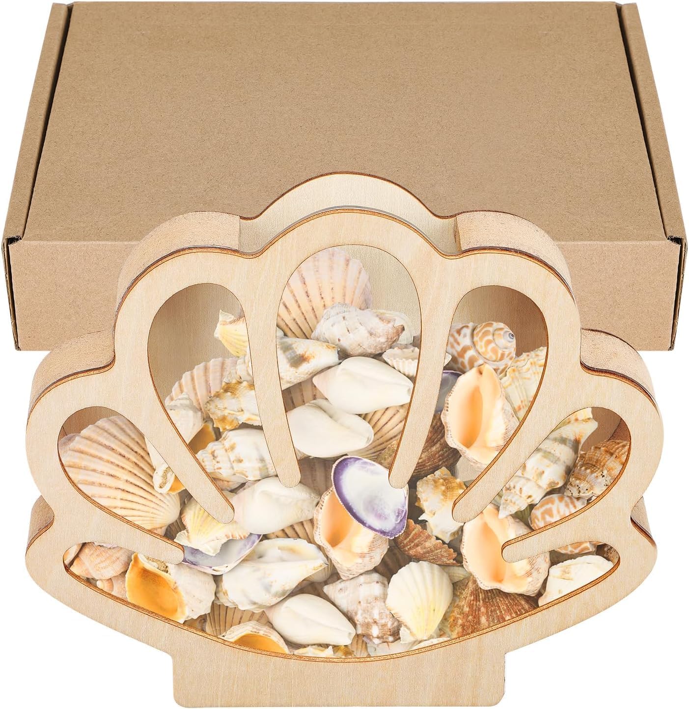 Amazon.com: Moresis Sea Shell Holder, Wooden Seashell Display Box ...