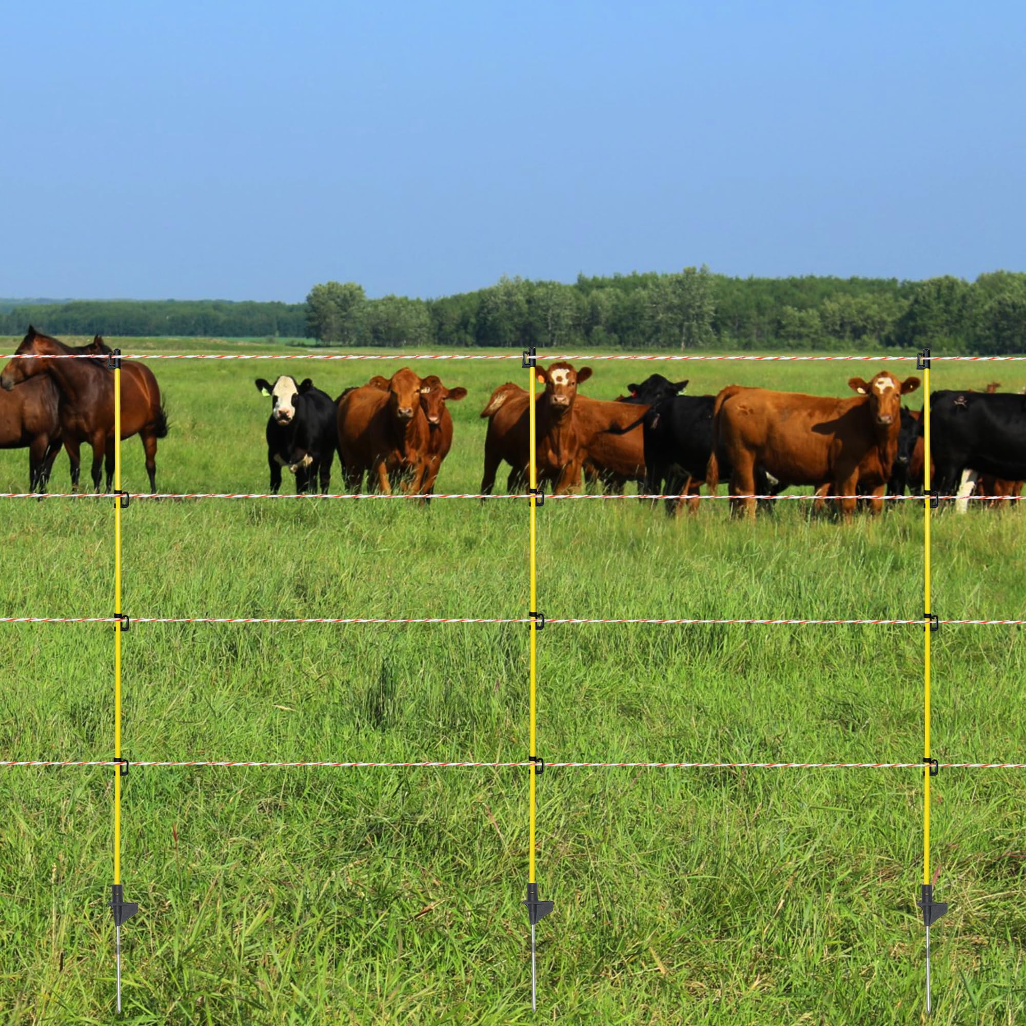 Fiberglass Livestock Fence