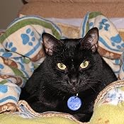 Dreamseller: Novak, Brandon, Joe Frantz: 9780806530031: Amazon.com: Books