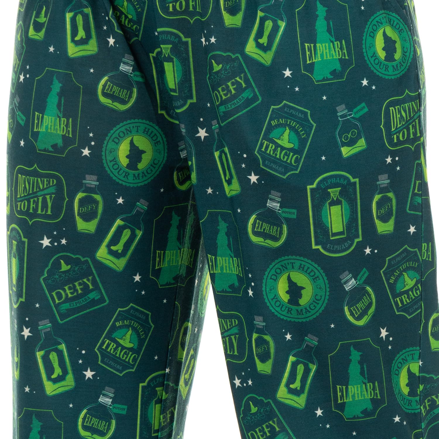 Snapklik.com : INTIMO Wicked Pajamas Womens Elphaba Destined To Fly ...