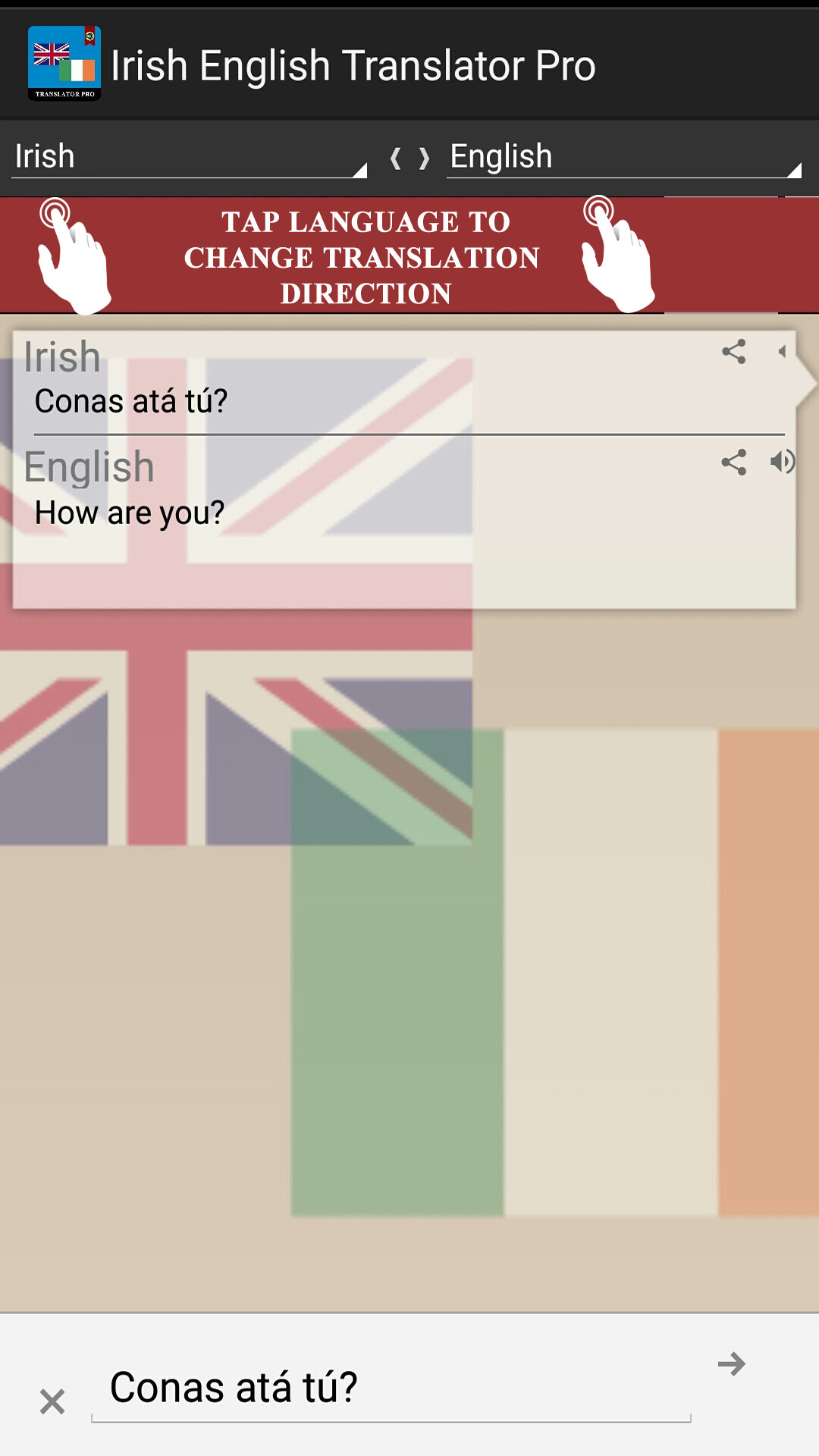 Irish English Translator Pro - App on Amazon Appstore
