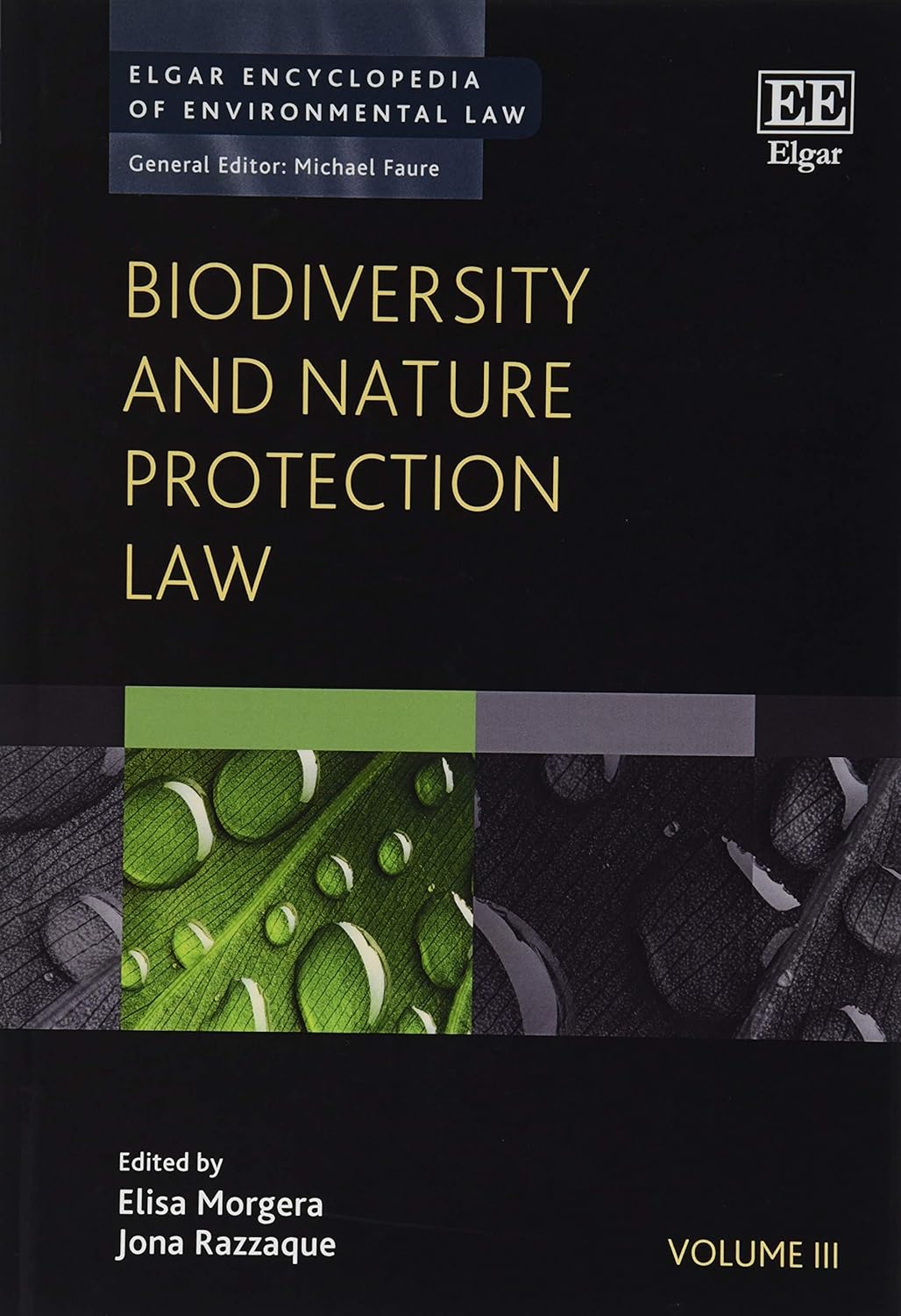 Amazon | Biodiversity and Nature Protection Law (Elgar Encyclopedia of ...
