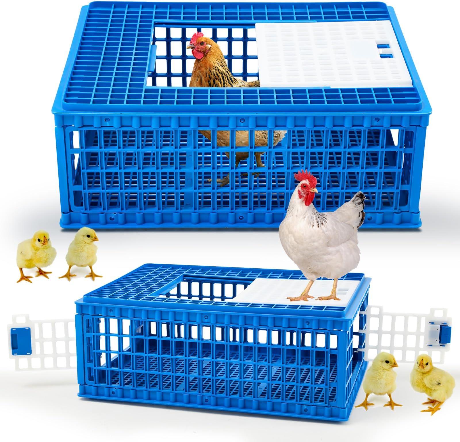 Amazon.com: Poultry Carrier Crate Plastic Chicken Transport Cage Heavy ...