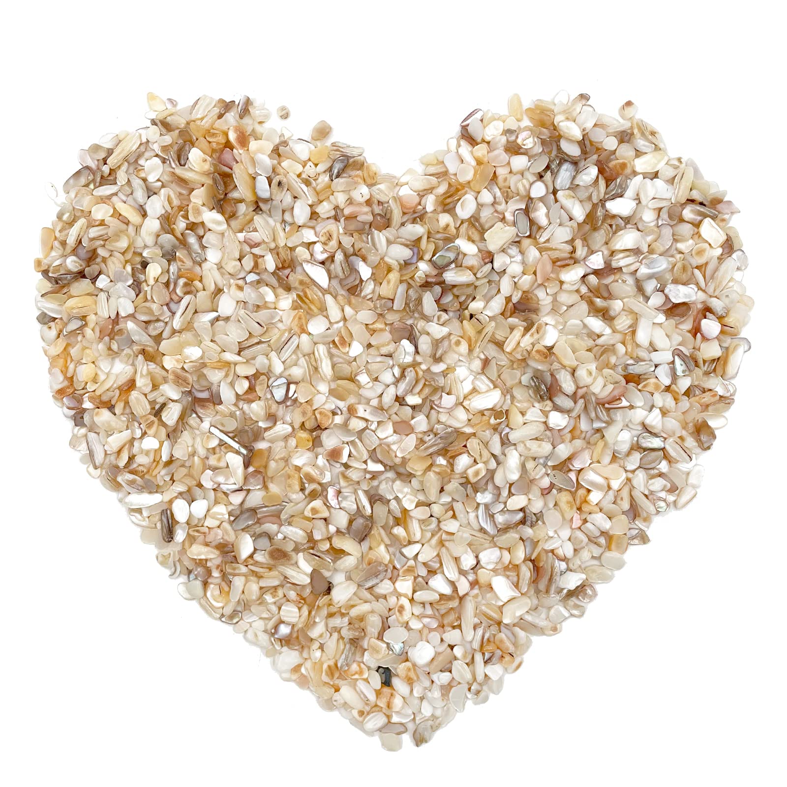 Amazon.com: LYFJXX Crushed Shells for Crafts, Sea Shells for Kids DIY ...