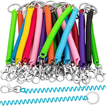 LBSXQGS 14Pcs Spiral Retractable Spring Coil, Colorful for Keychain ...