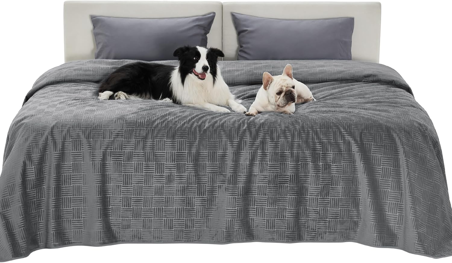 Amazon.com : Bedsure Waterproof Bed Cover for Dogs Washable - Plush ...