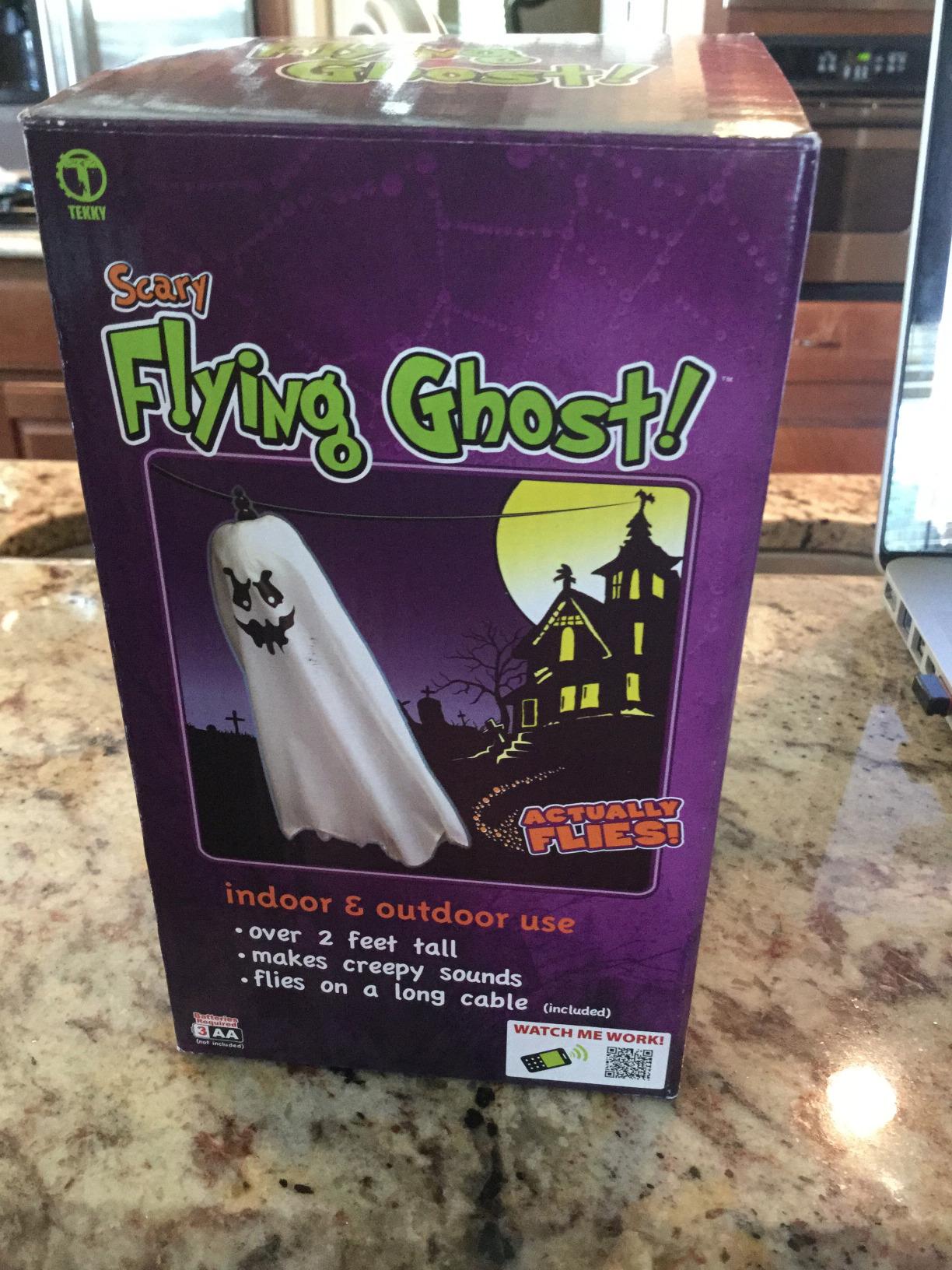 Amazon.com : Scary Flying Ghost - Flies on a Long Cable (Included ...