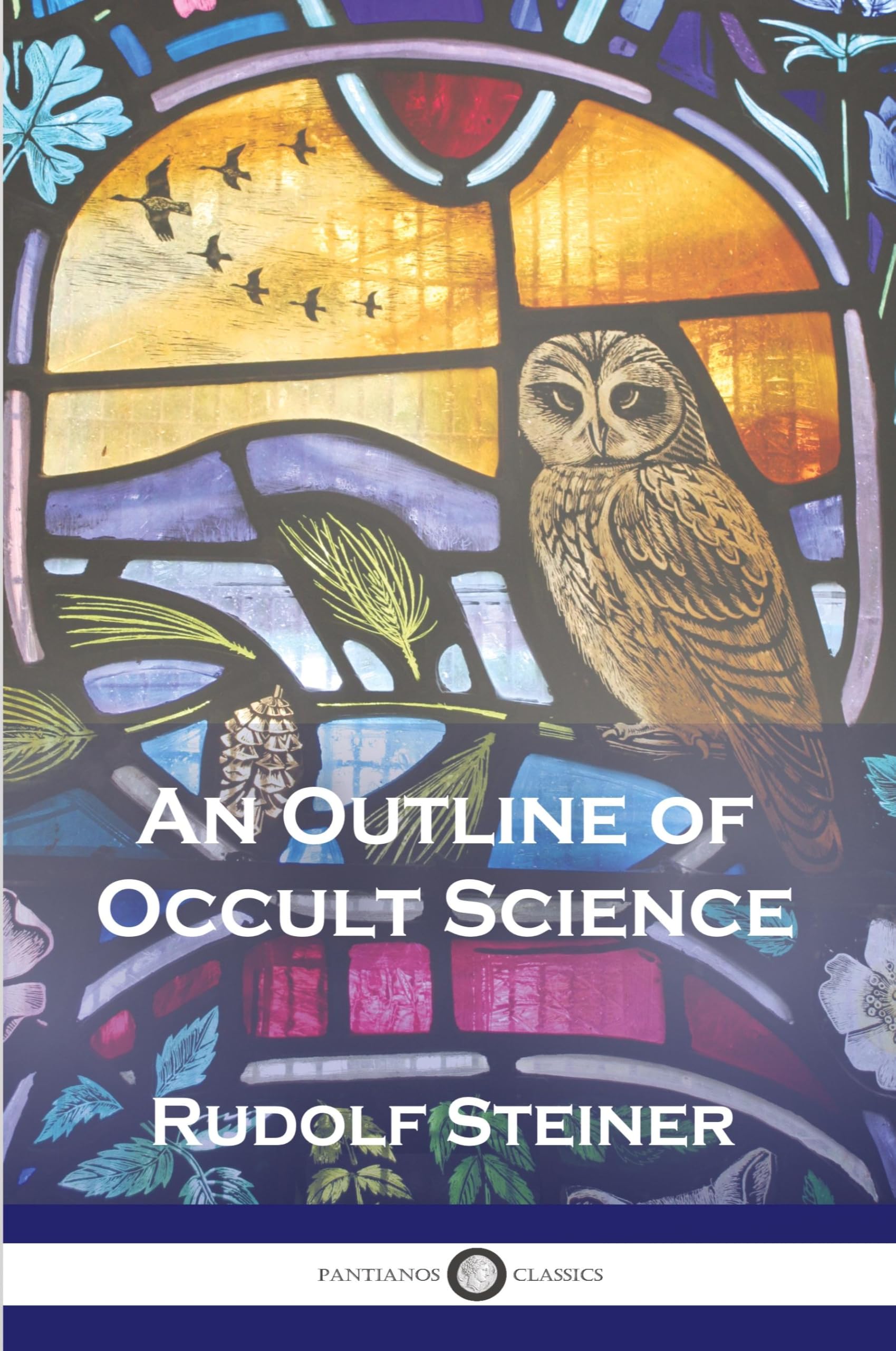 An Outline of Occult Science : Steiner, Rudolf: Amazon.in: Books