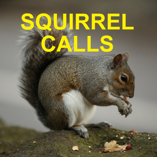 Squirrel Hunting Calls - App on Amazon Appstore