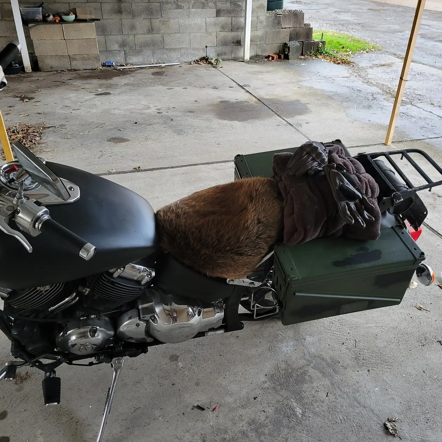 Amazon.com: PA120 40mm Ammo Can Holder Box (Matte Olive Drab) 2 Pack ...