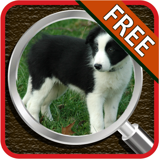 Hidden Object: Dogs - App on Amazon Appstore