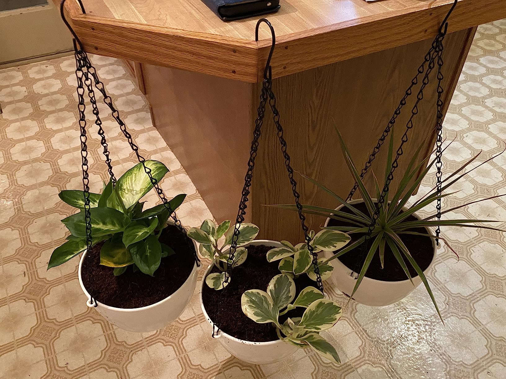 $12/mo - Finance Easy to Grow Houseplants (6 Pack) + Classic Houseplant ...