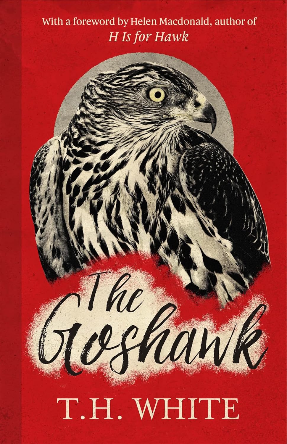 Goshawk: T.H. White: 9781474601665: Amazon.com: Books