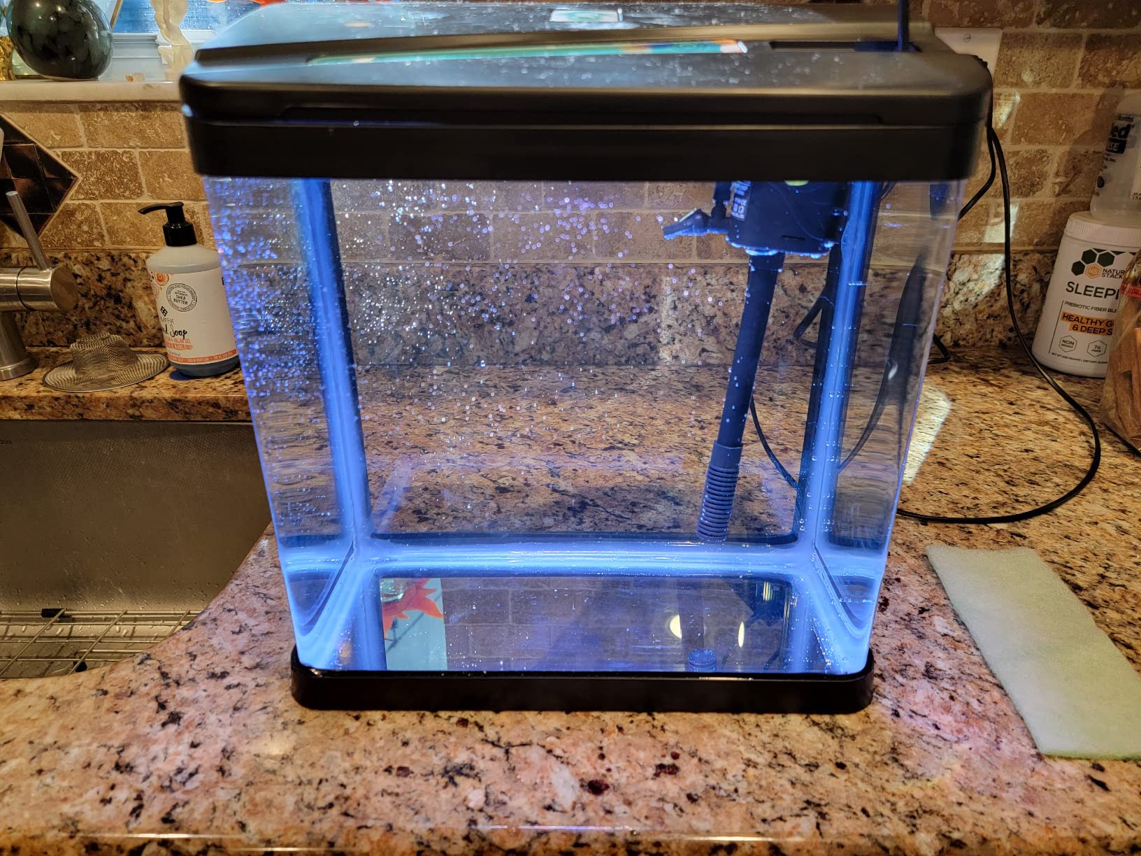 $10/mo - Finance PONDON Fish Tank, 3 Gallon Glass Aquarium, 3 in 1 Fish ...