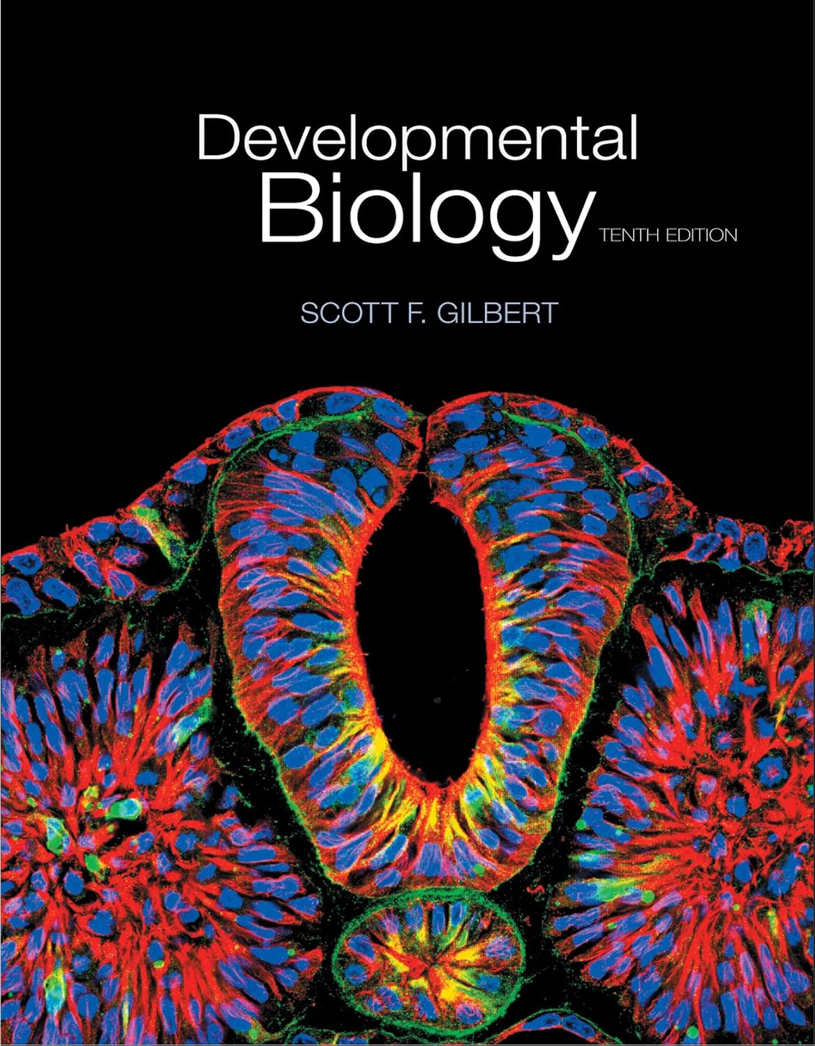 Developmental Biology: Gilbert, Scott F.: 9780878939787: Amazon.com: Books